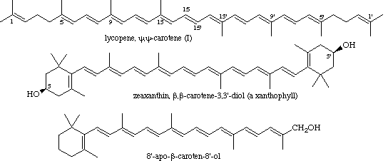 Definition of carotenoids - Chemistry Dictionary